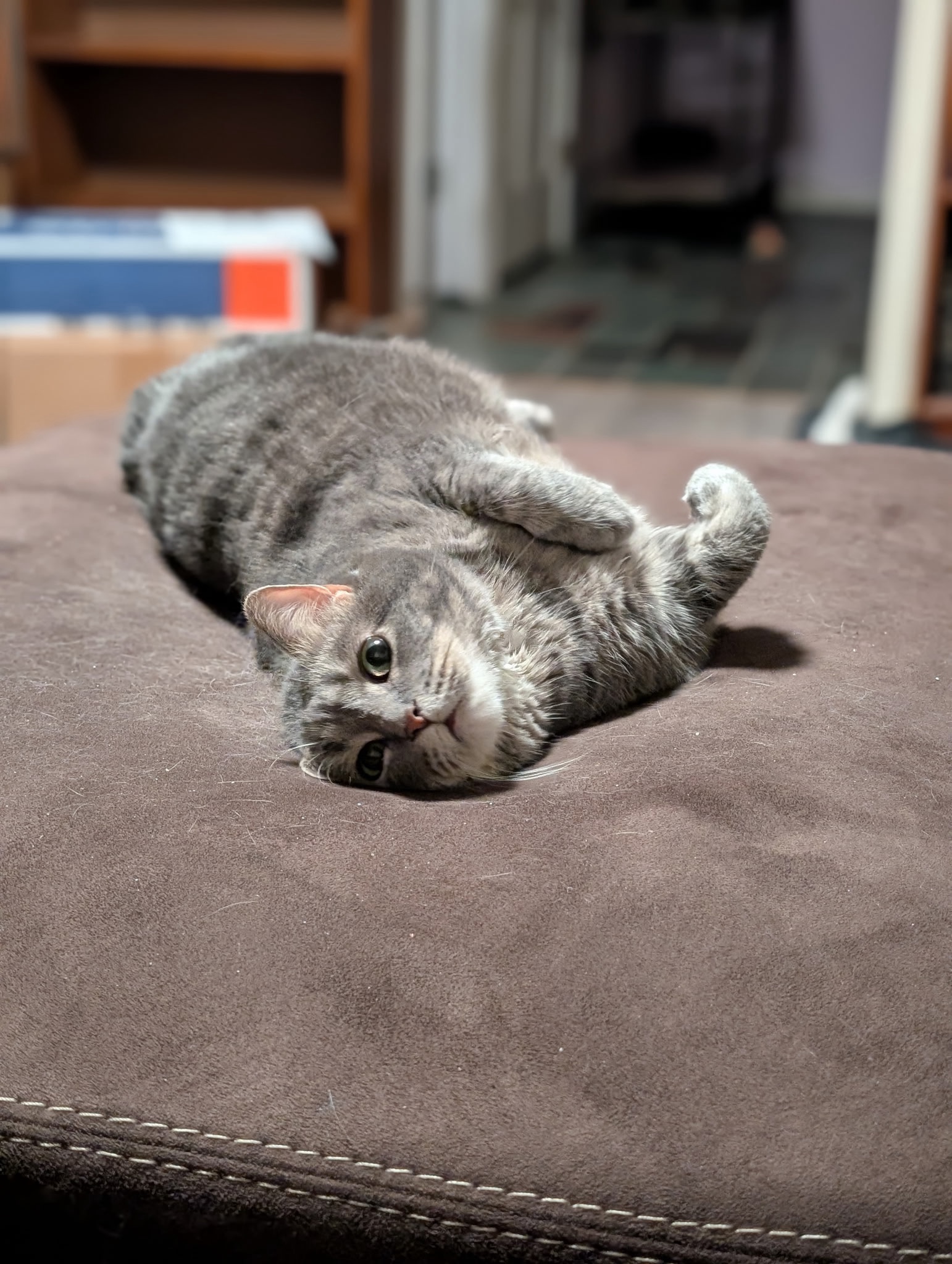 As requested – Welcome to infinitefreetime dot com